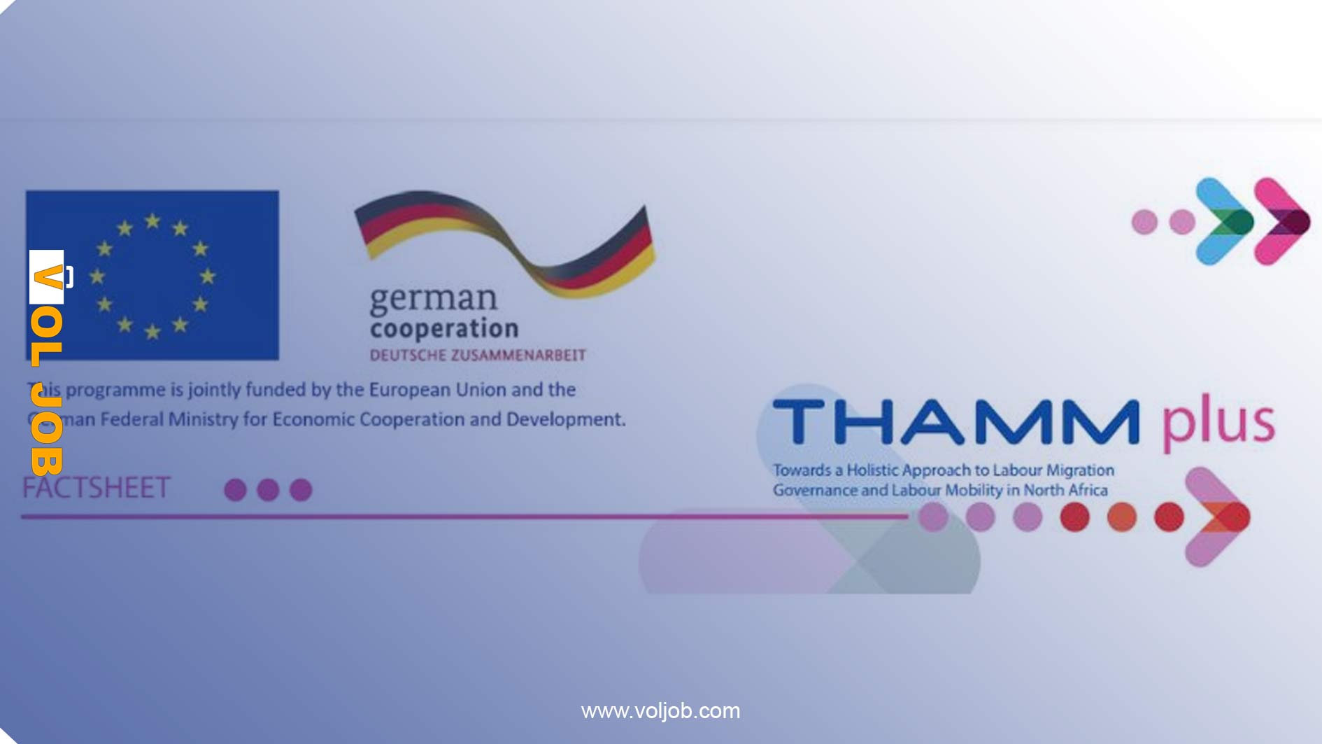 Registration in the THAMM Plus Program in Germany – Bakery and Sales