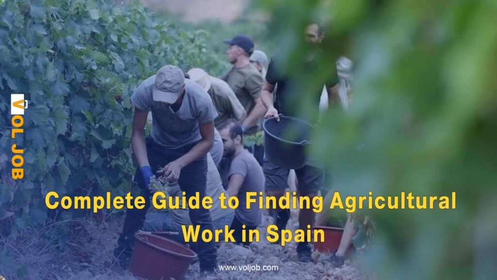 Complete Guide to Finding Agricultural Work in Spain: Requirements ...